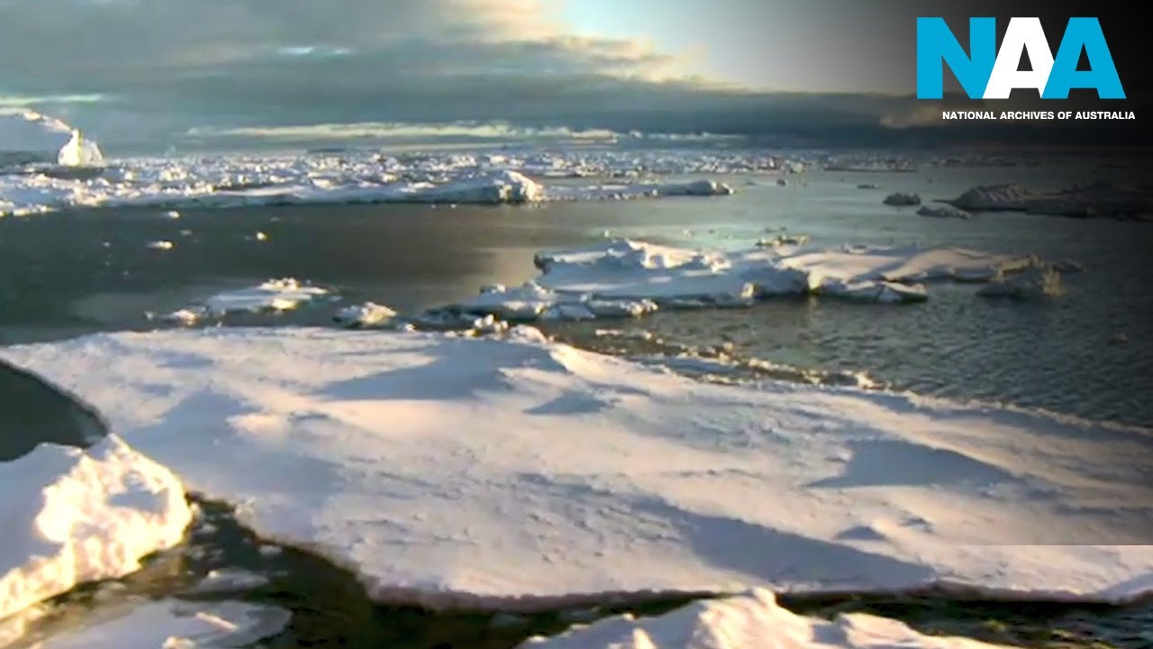 Data Film Antarctica - YouTube