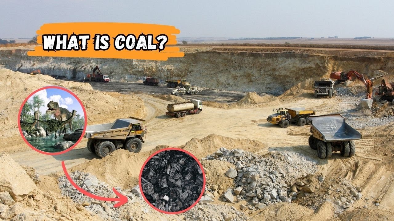 How is coal formed in nature? - YouTube