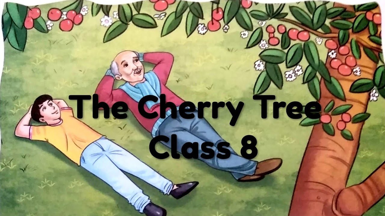 The Cherry Tree By Ruskin Bond Raintree Class 8 English YouTube the-cherry-tree-by-ruskin-bond-raintree-class-8-english-youtube