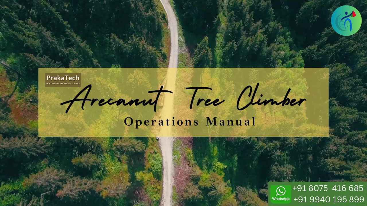 Arecanut / Supari / Adakka / Betel / catechu / Pinang palm Tree ...