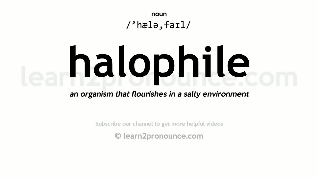 Pronunciation of Halophile | Definition of Halophile - YouTube