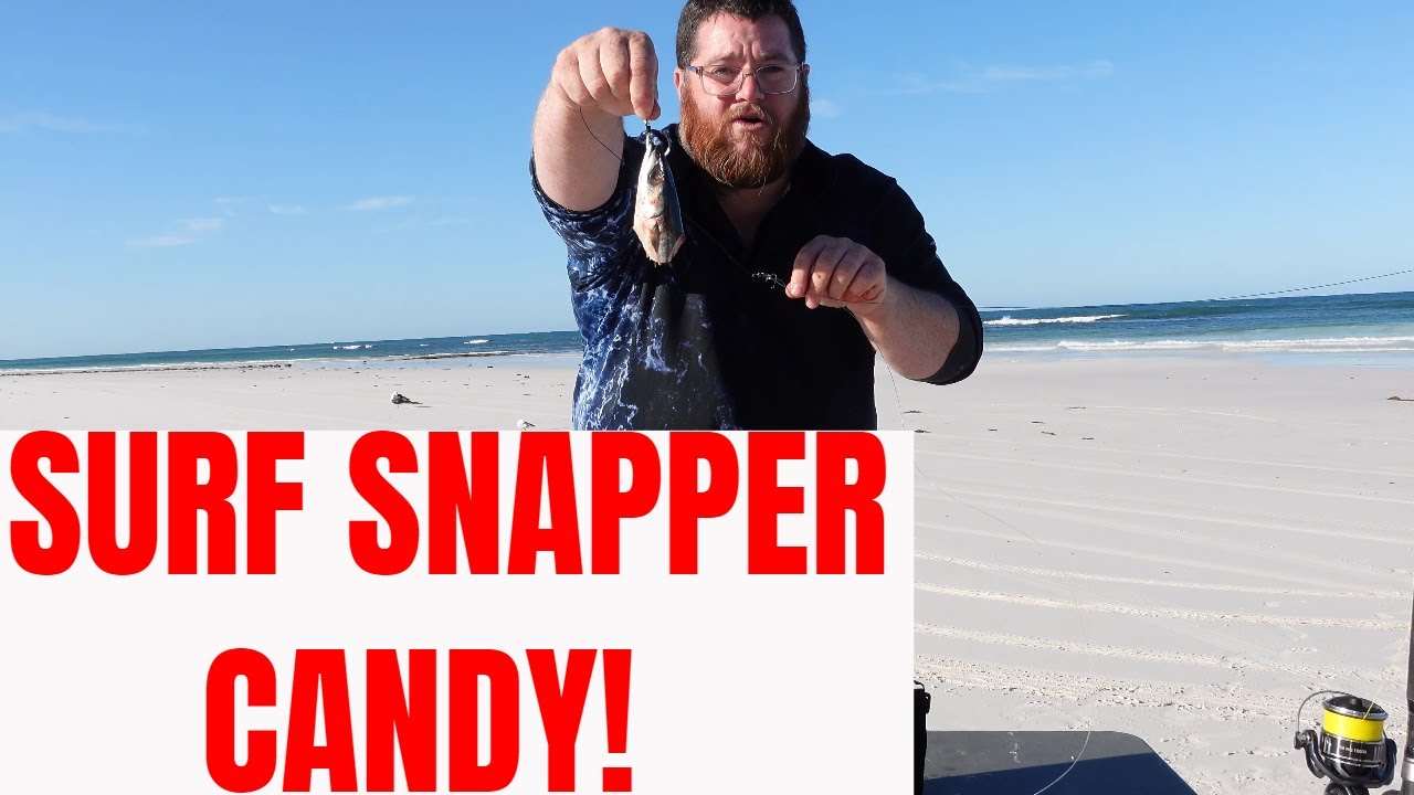 BLUE MACKEREL BEACH FISHING BAIT Presentation! SNAPPER CANDY. - YouTube