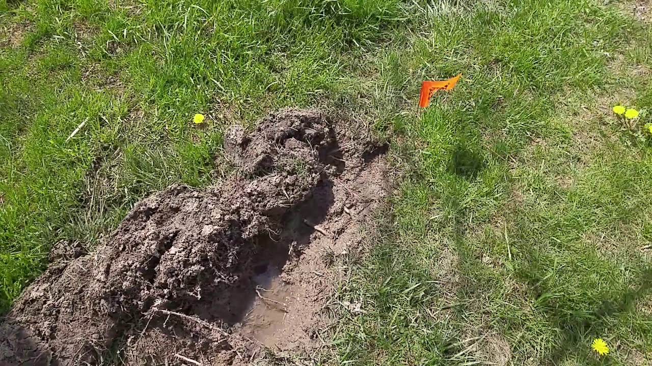 Tim's "Stale Seed Bed" - Digging the first swale! - YouTube