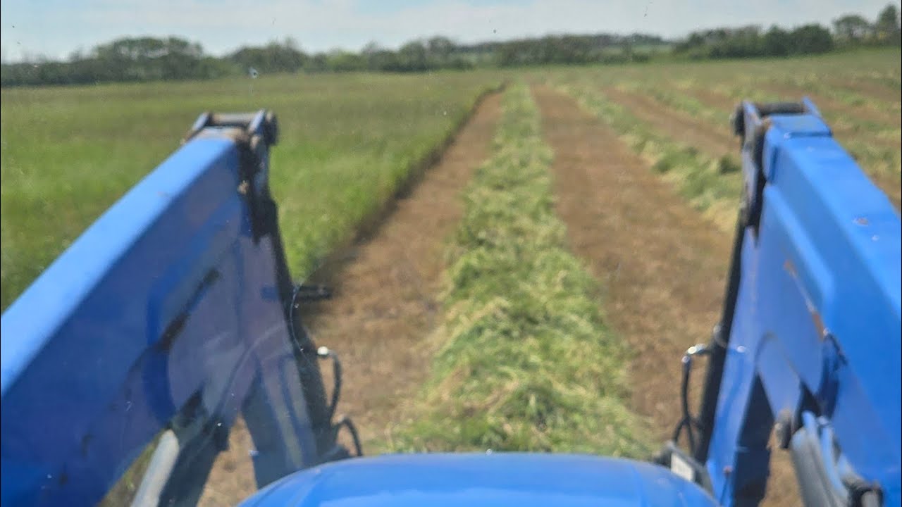 FIRST hay Cut, Could Be Our Best - YouTube