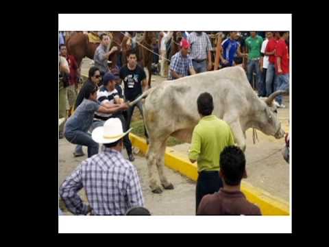 Embalse de Toros en Tlacotalpan 2013. - YouTube