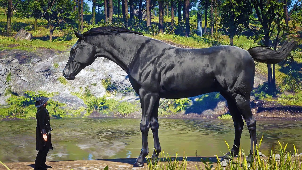 Arthur Morgan Tames a Huge Wild Arabian Black Horse at Kamassa River ...