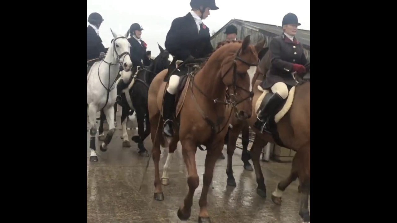 The Berkeley Hunt - YouTube