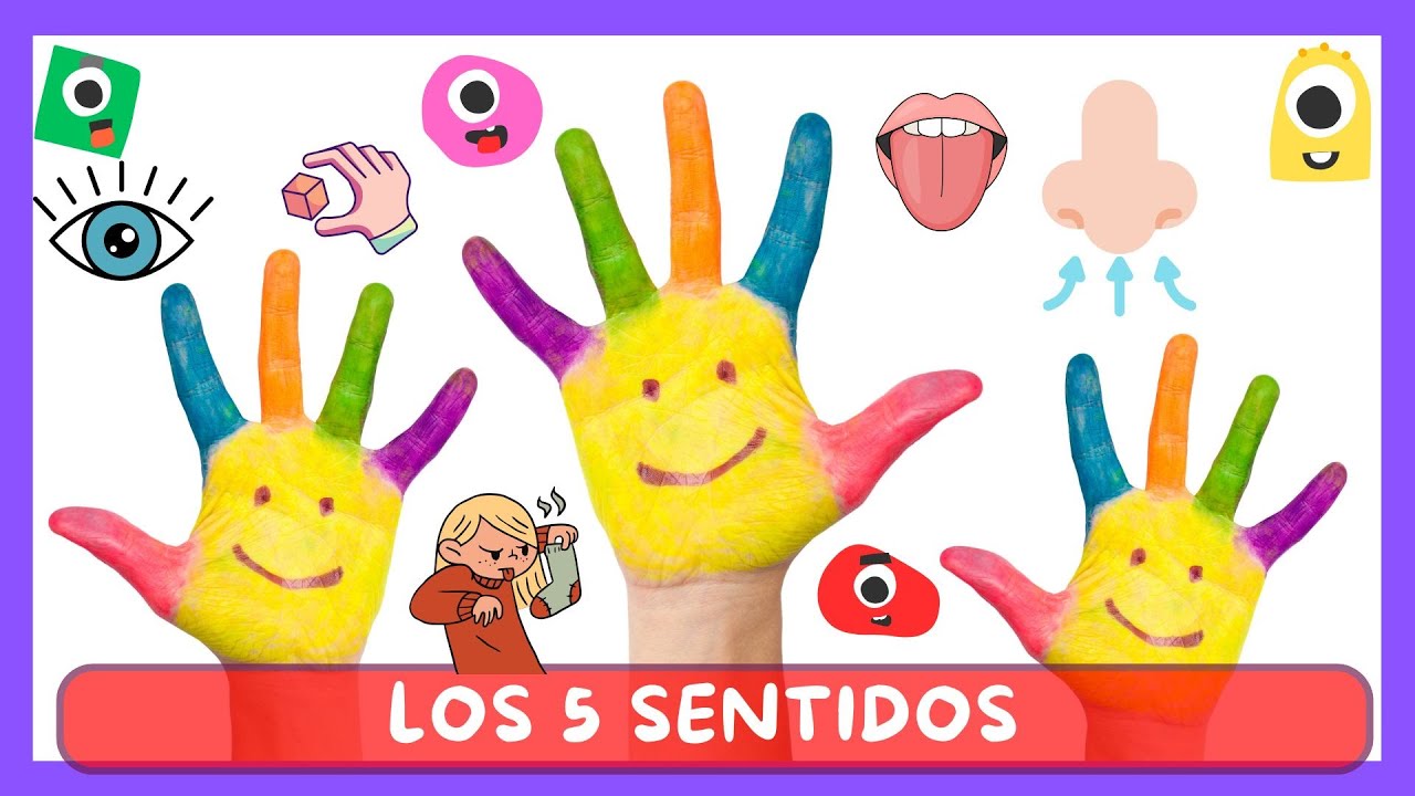 Los 5 sentidos – Canción para Niños, aprende jugando. - YouTube
