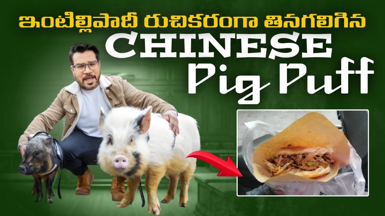 CHINA LO PIG PUFF WINTER SPECIAL FOOD || చైనా లో పిగ్ పఫ్ శీతాకాలపు ...
