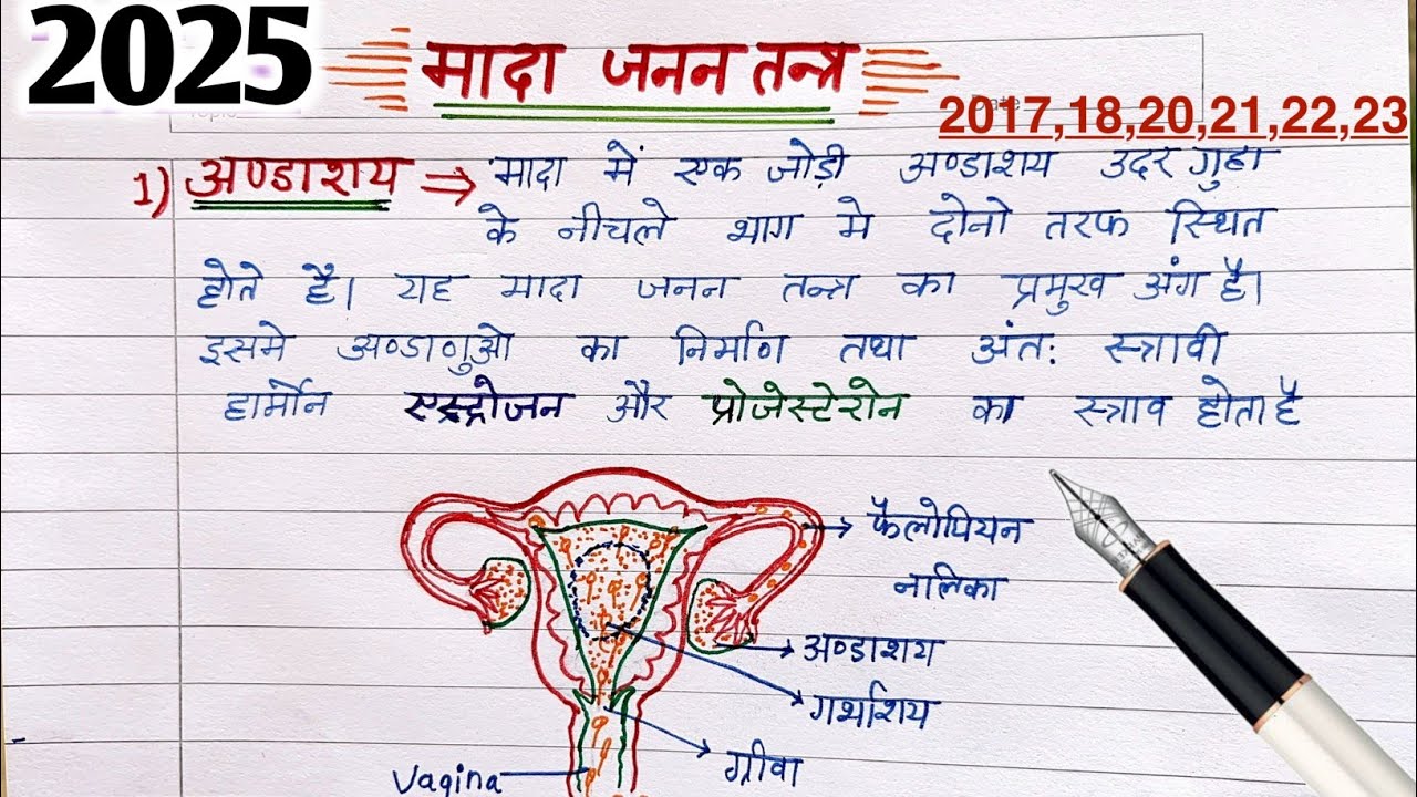 mada janan tantra | female reproductive system | class 12th biology ...
