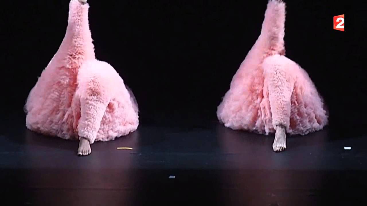 4 A la découverte de "Tutu" des chicos mambo - YouTube