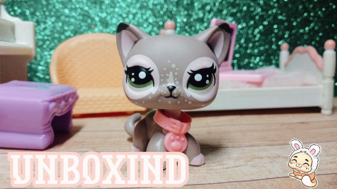 LPS: UNBOXING LPS📦🫶🏻/🌷†LPS STAR CAT†🌲 - YouTube