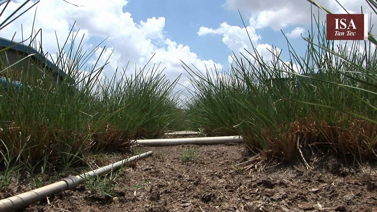 Tour of Heshan Bestway Leather Product Ltd & Saigon Tan Tec Ltd. - YouTube