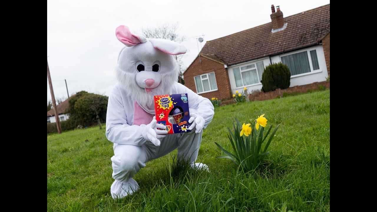 Easter Bunny Competition - BayPromoTeam 2015 - YouTube