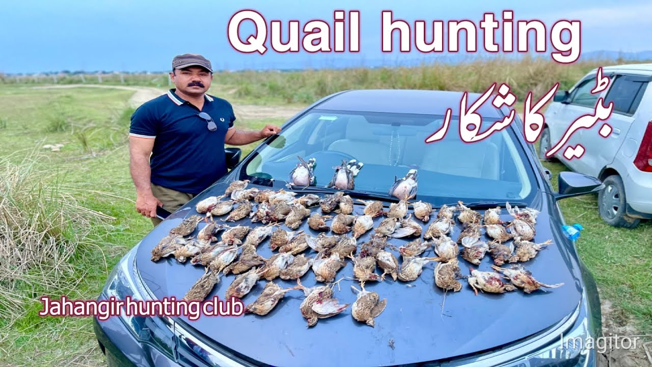 quail hunting, in pakistan ,with mansoor kiyani and saeed butt,jahangir ...