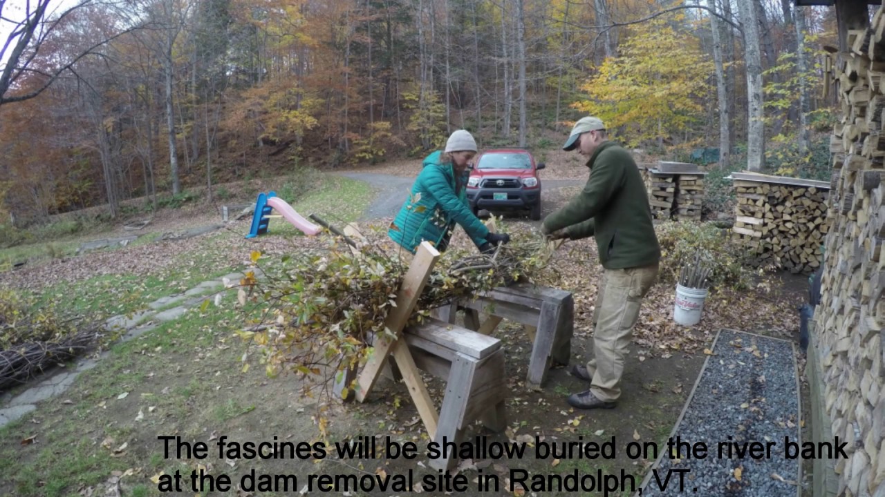 building willow fascines - YouTube