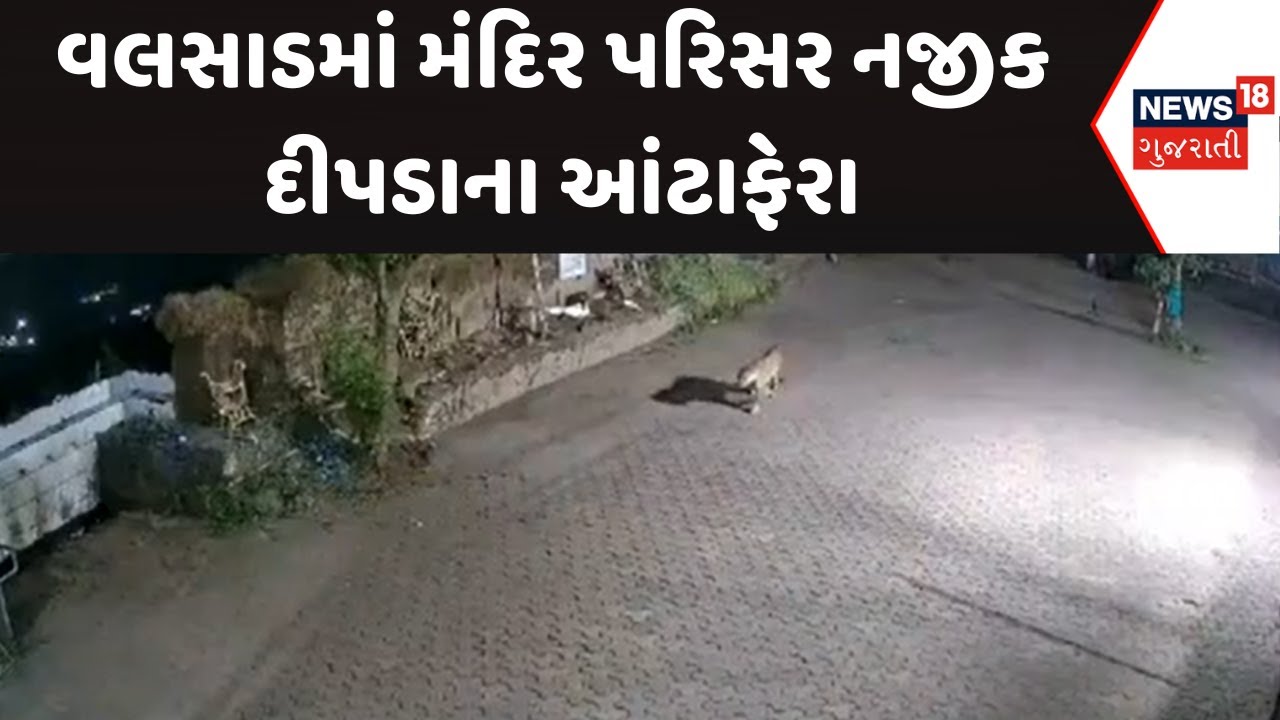Valsad News : વલસાડમાં મંદિર પરિસર નજીક દીપડાના આંટાફેરા | CCTV Camera ...