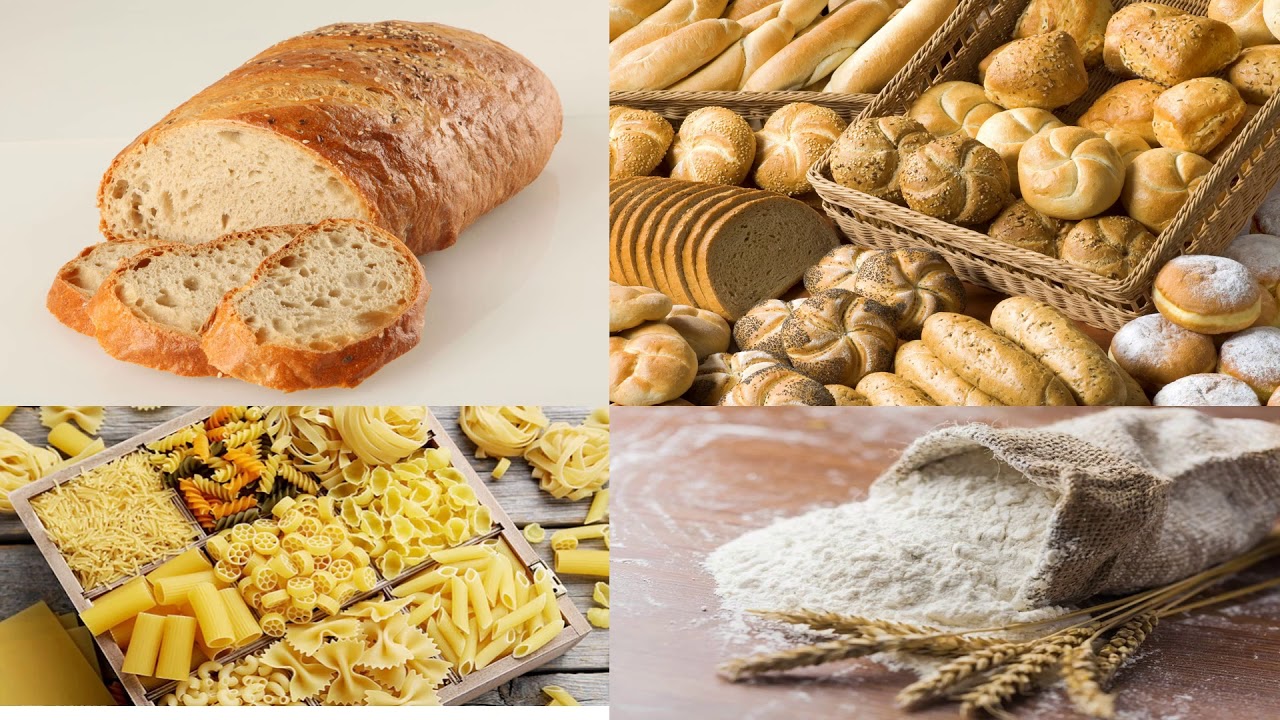 Obilniny a krmoviny - YouTube