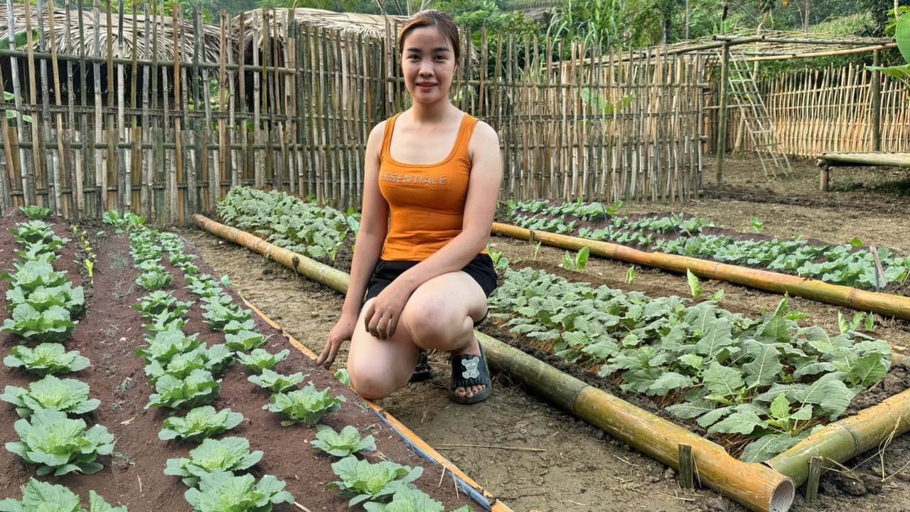 Build a garden, grow vegetables & harvest purple sugar cane to sell at ...