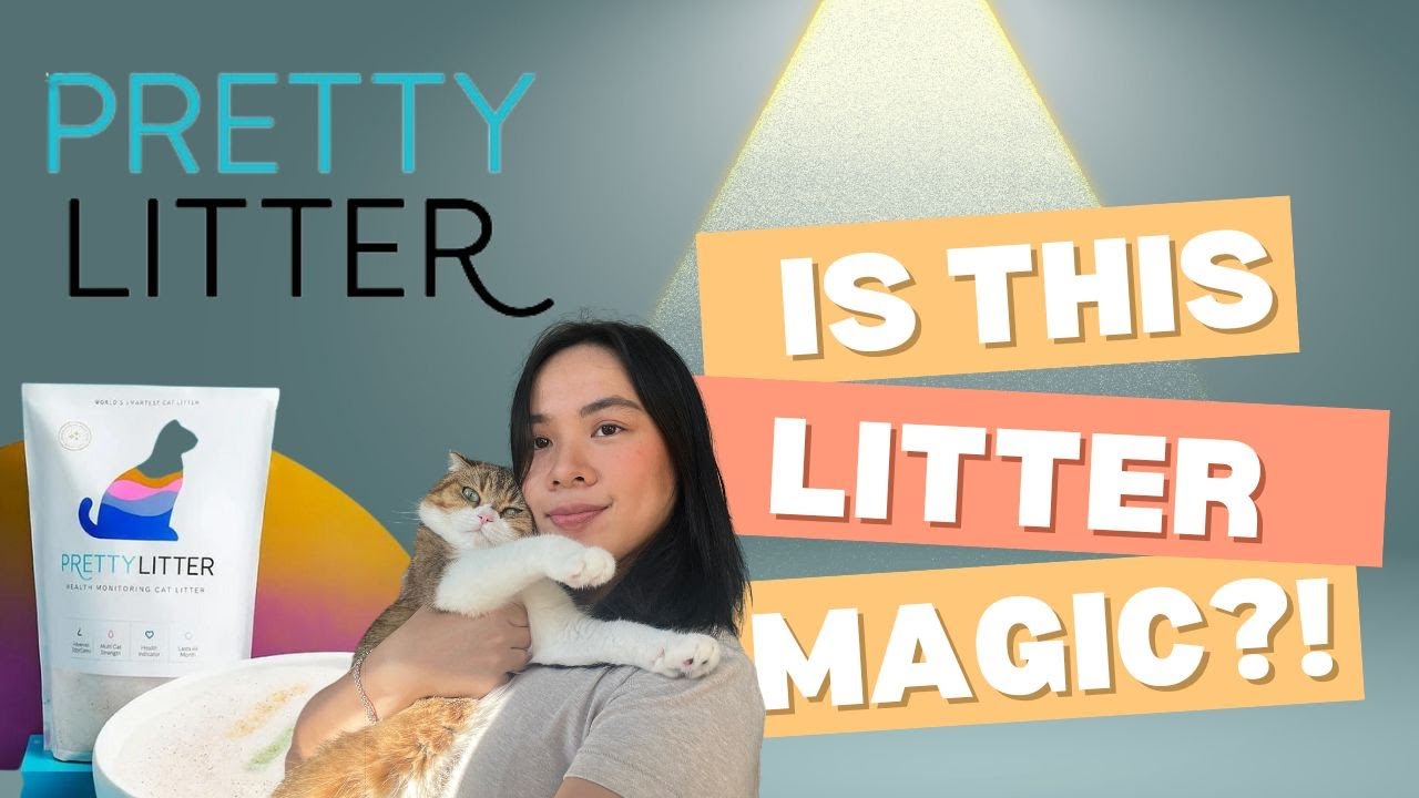 PrettyLitter Exposed: Is It the Best Litter for Your Cat? - YouTube