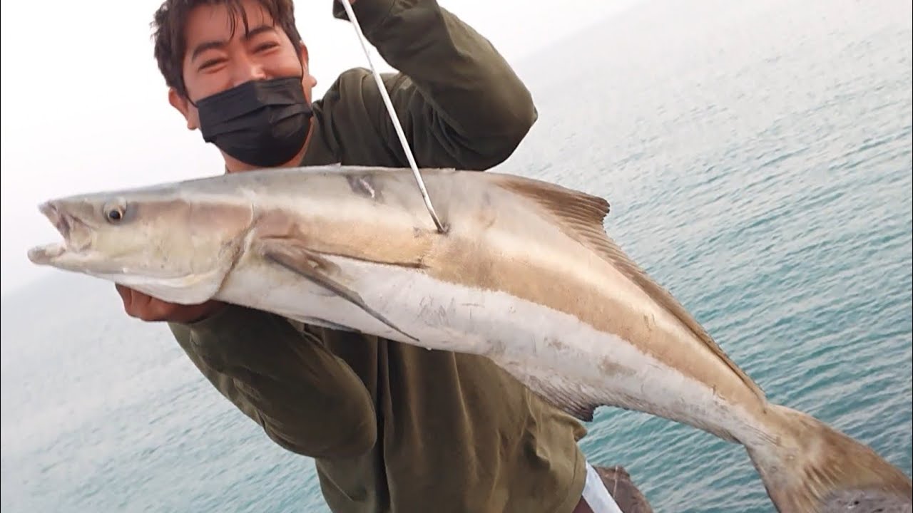 milkfish feeding program😁😁😁 #fishhunter - YouTube