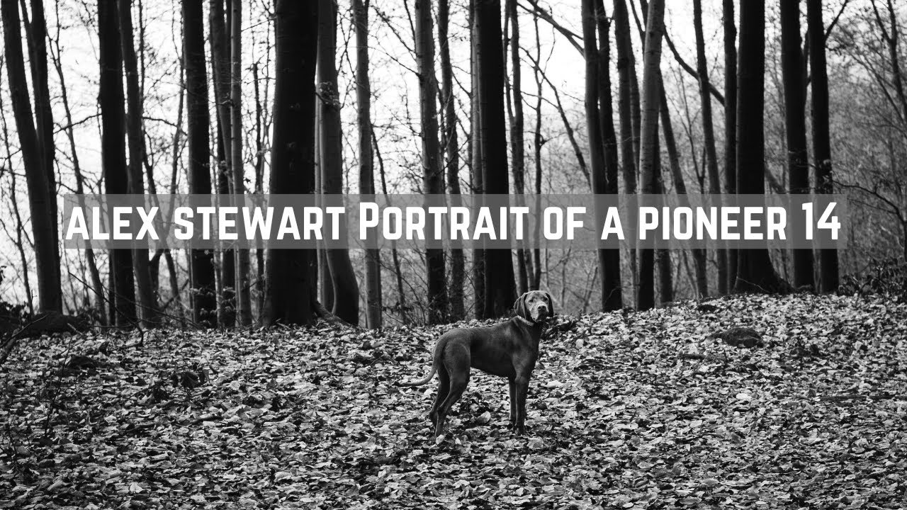 Alex Stewart Portrait of a Pioneer 14 - AUDIO BOOK - YouTube