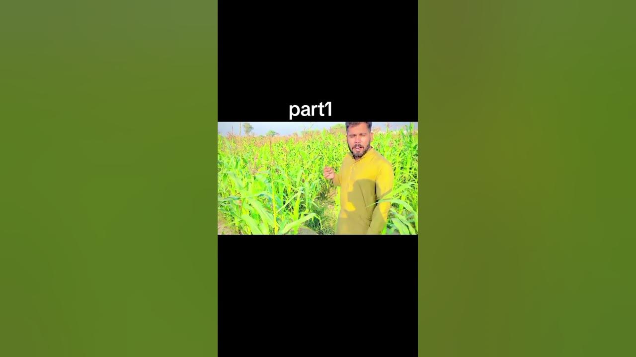 MY FAST VELOG PLEASE SAPORT ME SUBSCRIBE ME CHANNEL 🥺🥺🥺 - YouTube