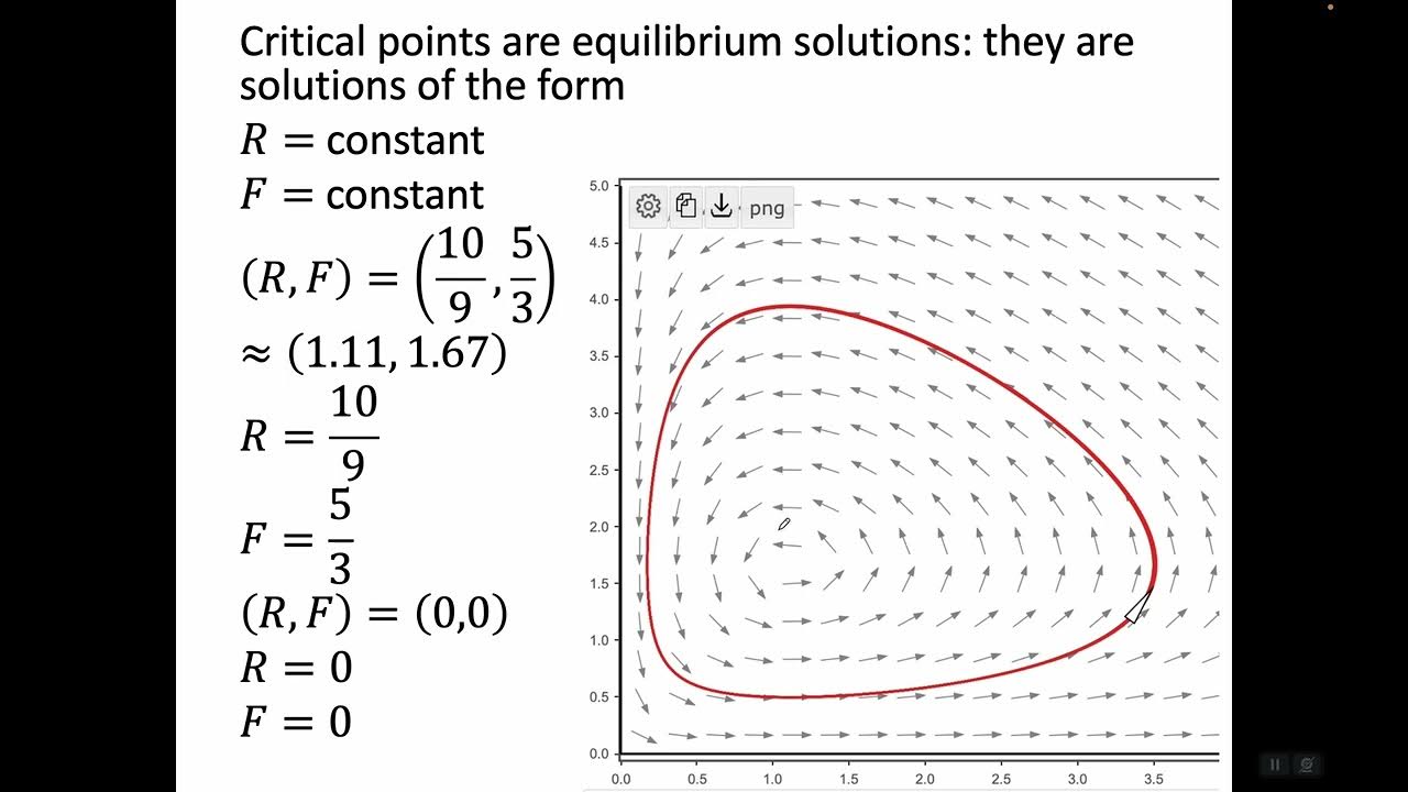 Predator-Prey Models - YouTube