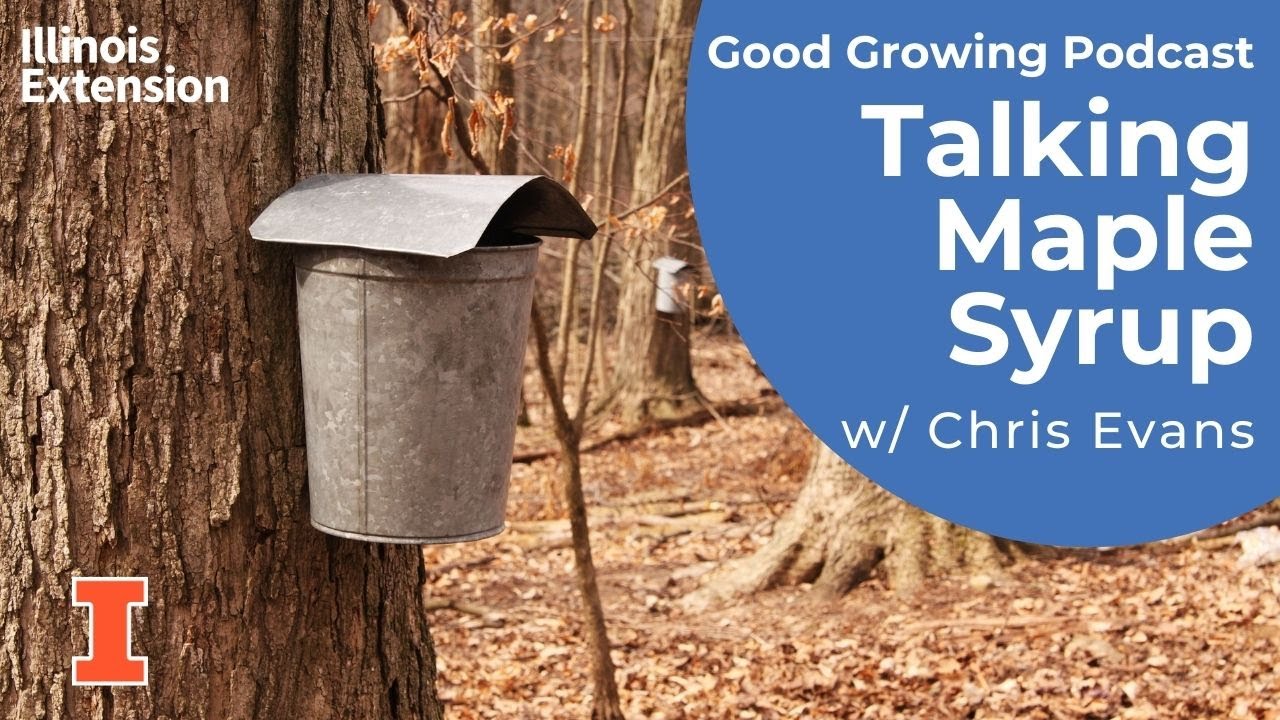 Talking maple syrup and forestry with Chris Evans | #GoodGrowing - YouTube