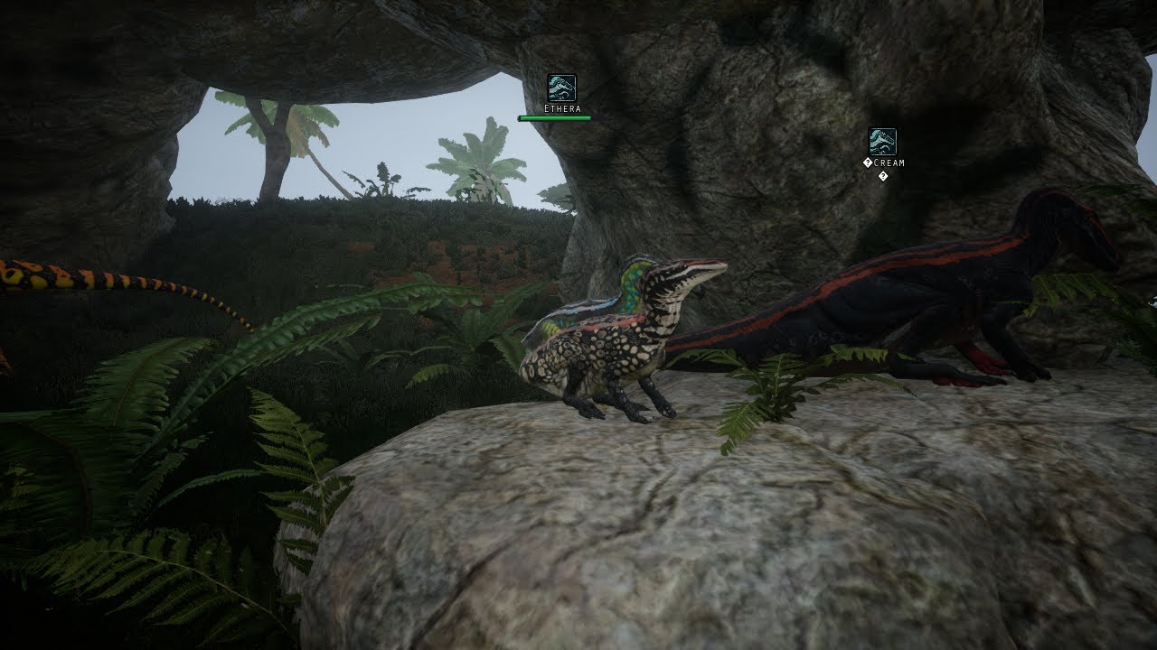 Beasts of Bermuda MegaRaptor Family - YouTube