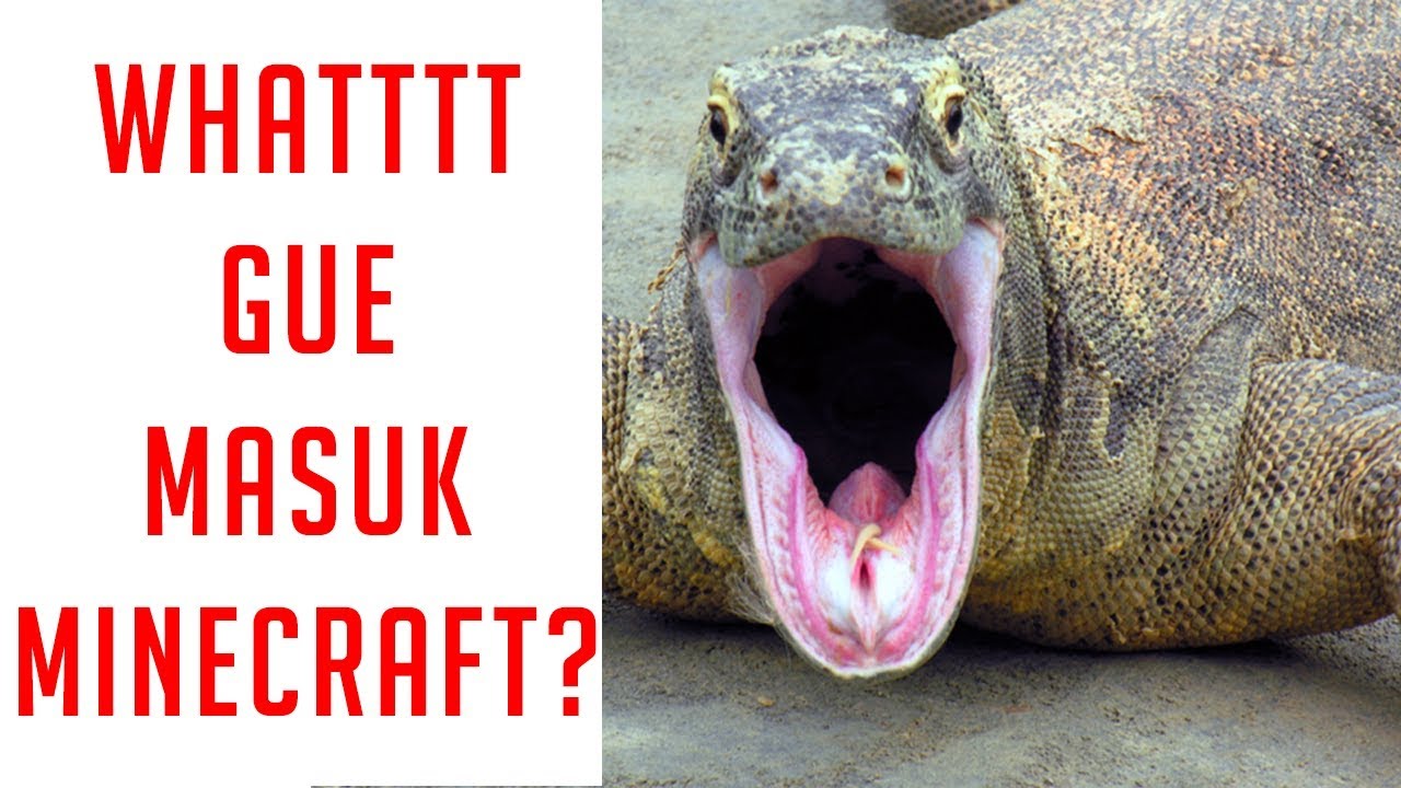 KOMODO DALAM MINECRAFT?? Mod baru MoCreatures || Minecraft Mods - YouTube