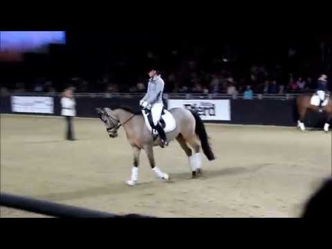 Ivonne mit Despina - Equitana 2013