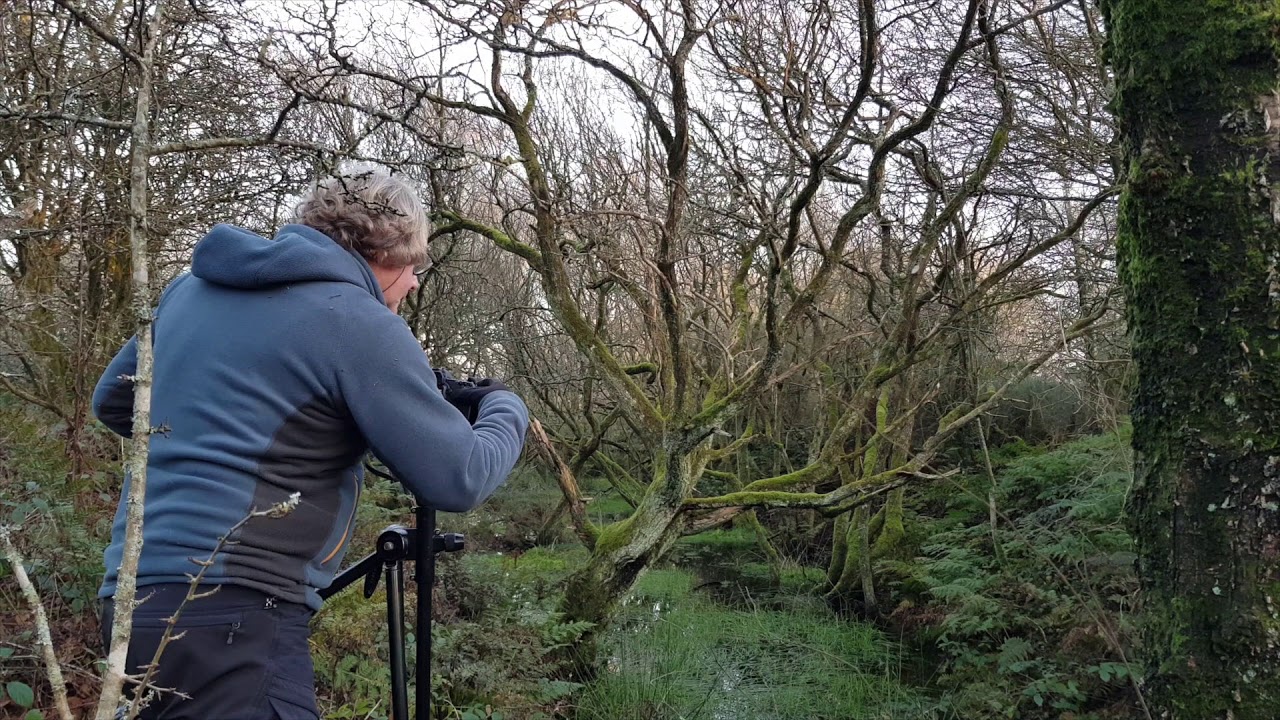 Wide open Depth of Field Landscape Photography in the swamps of Cumbria ...