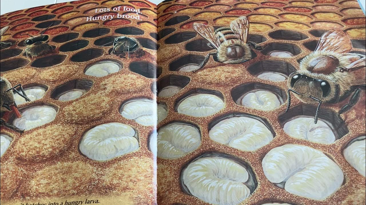 In the Trees, Honey Bees - YouTube