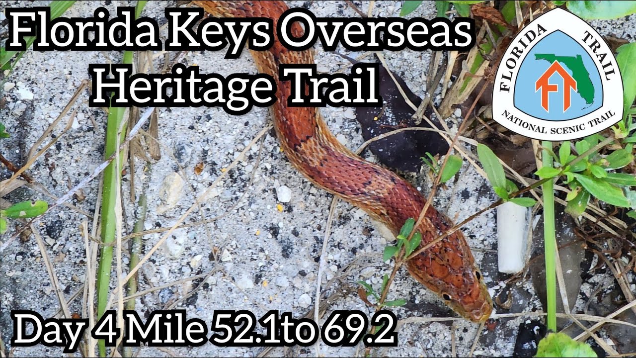 Day 4 Florida Trail Thru Hike From Key West | Keys Overseas Heritage ...
