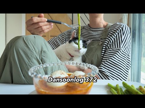 단순로그372 작은집, 작은 부엌에서 매일 차려 먹는 담백한 시골 집밥🥘 vlog