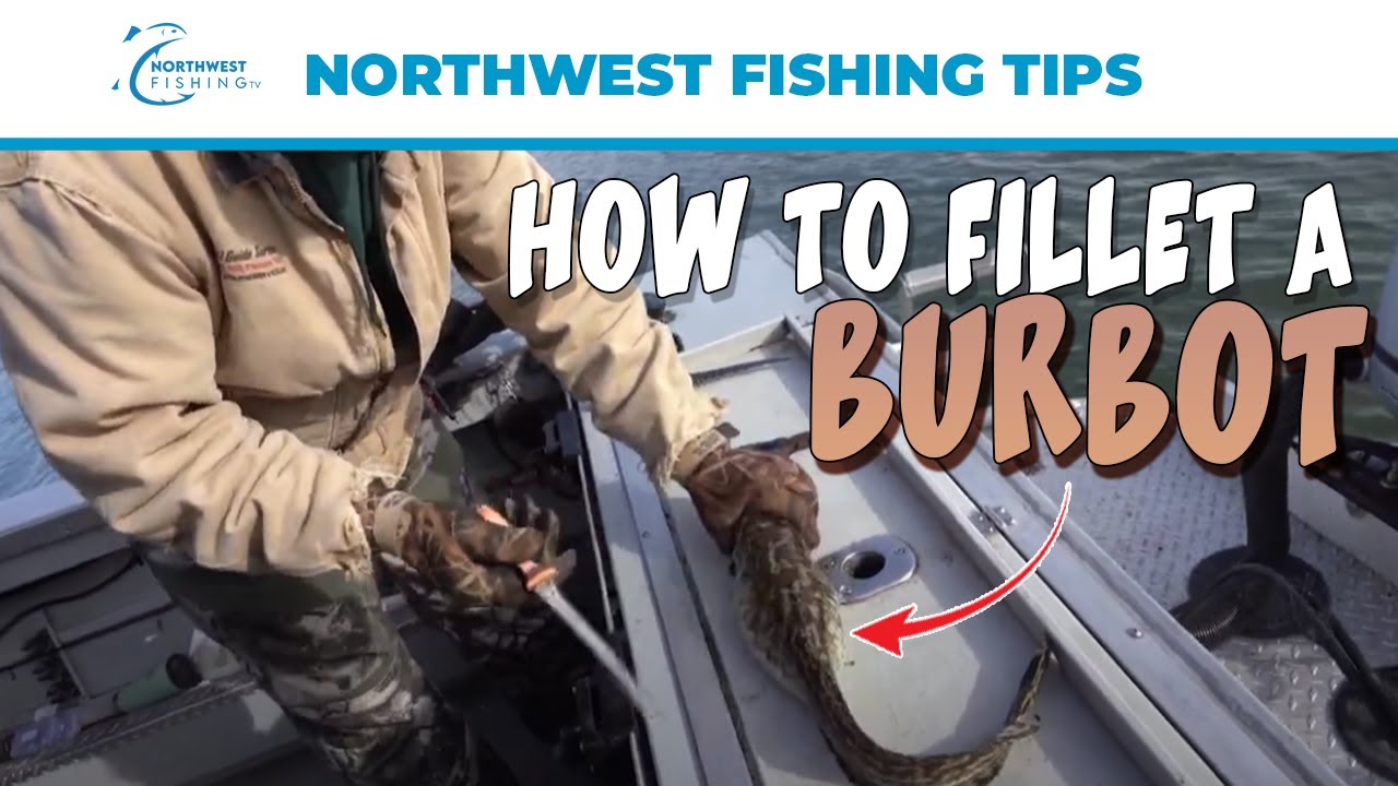 How to Fillet a Burbot with Craig Dowdy | PROTIP - YouTube
