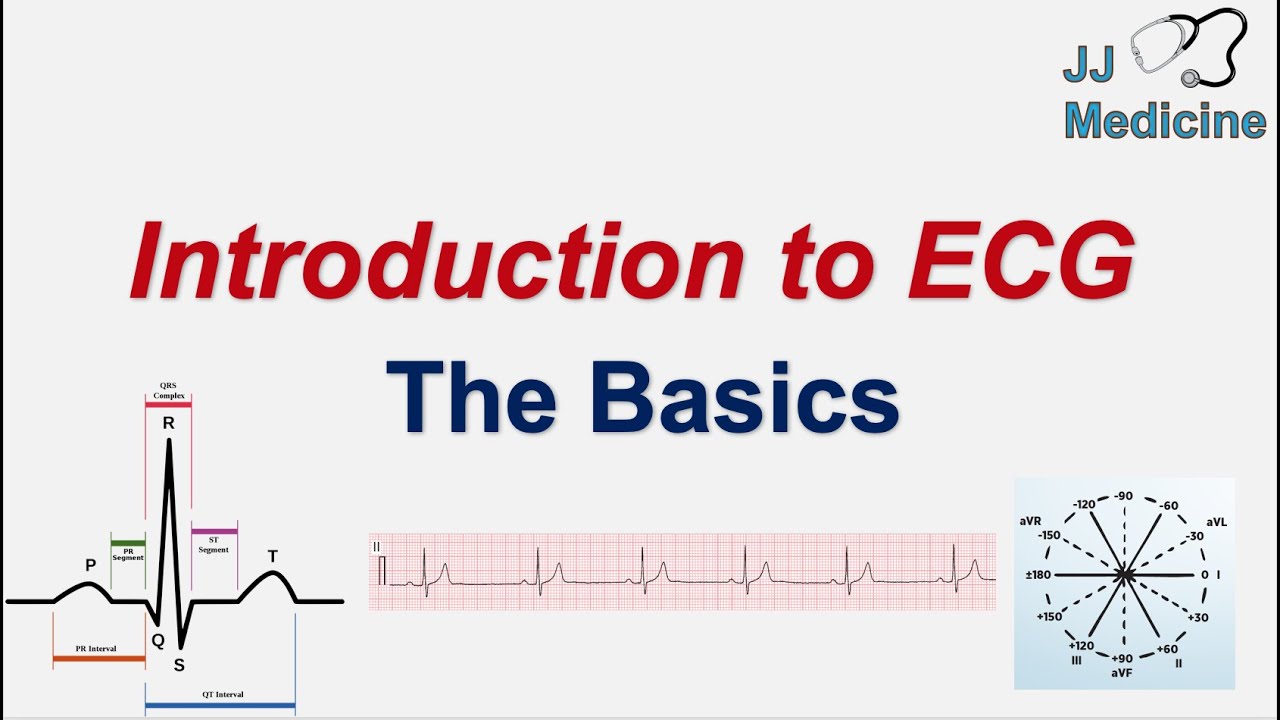Introduction To ECG The Basics ECG Paper PQRST Wave Rate Rhythm