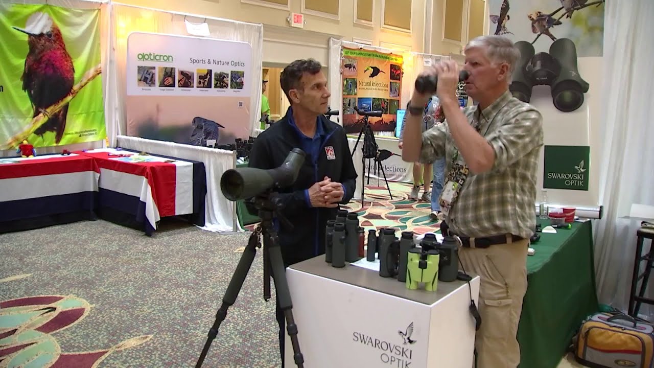 Interested in birding? Swarovski Optik has tips for beginners - YouTube