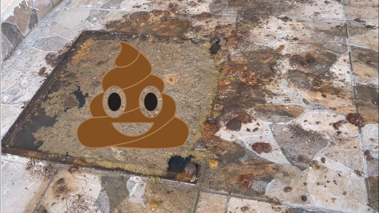 Drain Complaint 280 | 🤮 Poop overflowed and spread throughout the ...