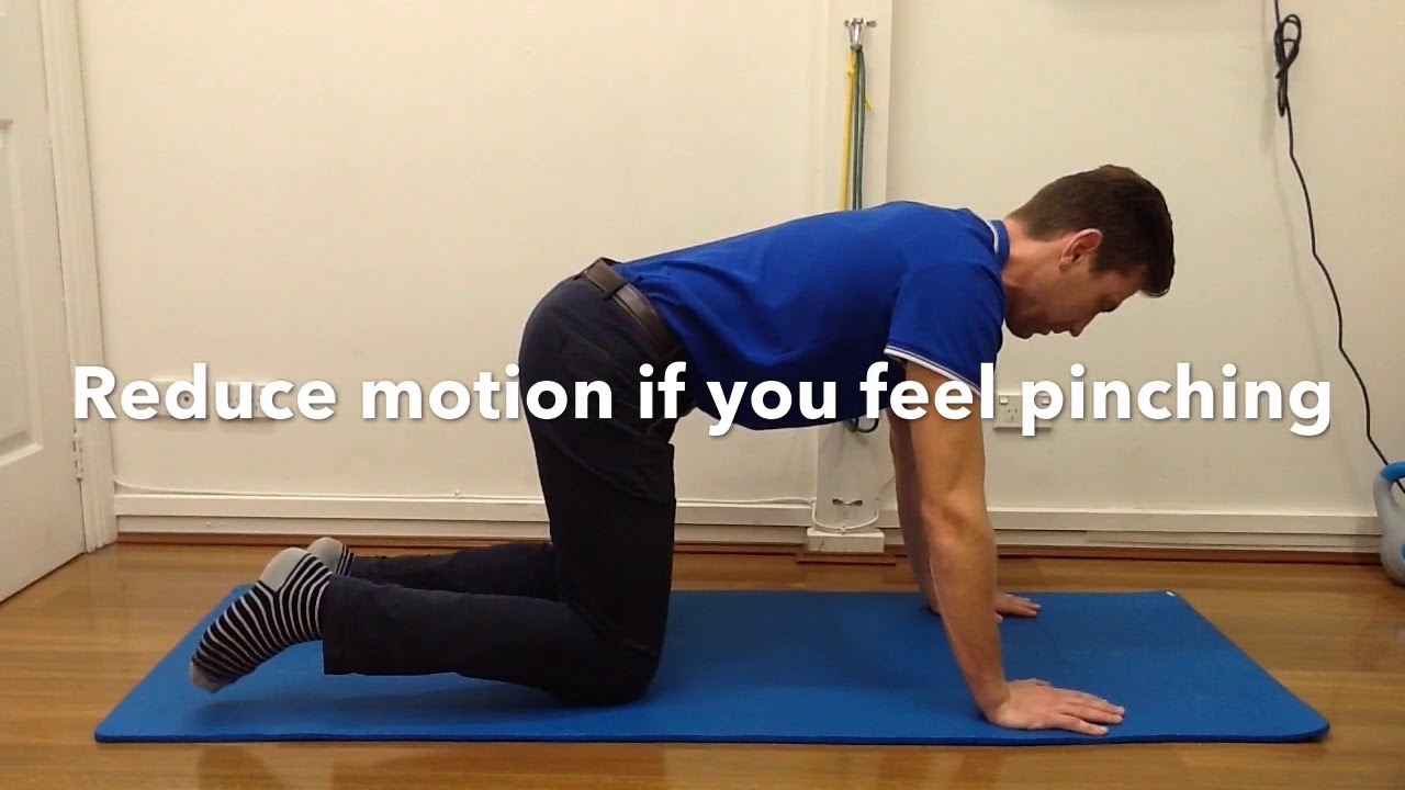 Hip External Rotation in 4 Point Kneeling - Melbourne Sports ...