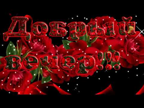 Спокойной ночи друзья мои вам и вашим питомцам.