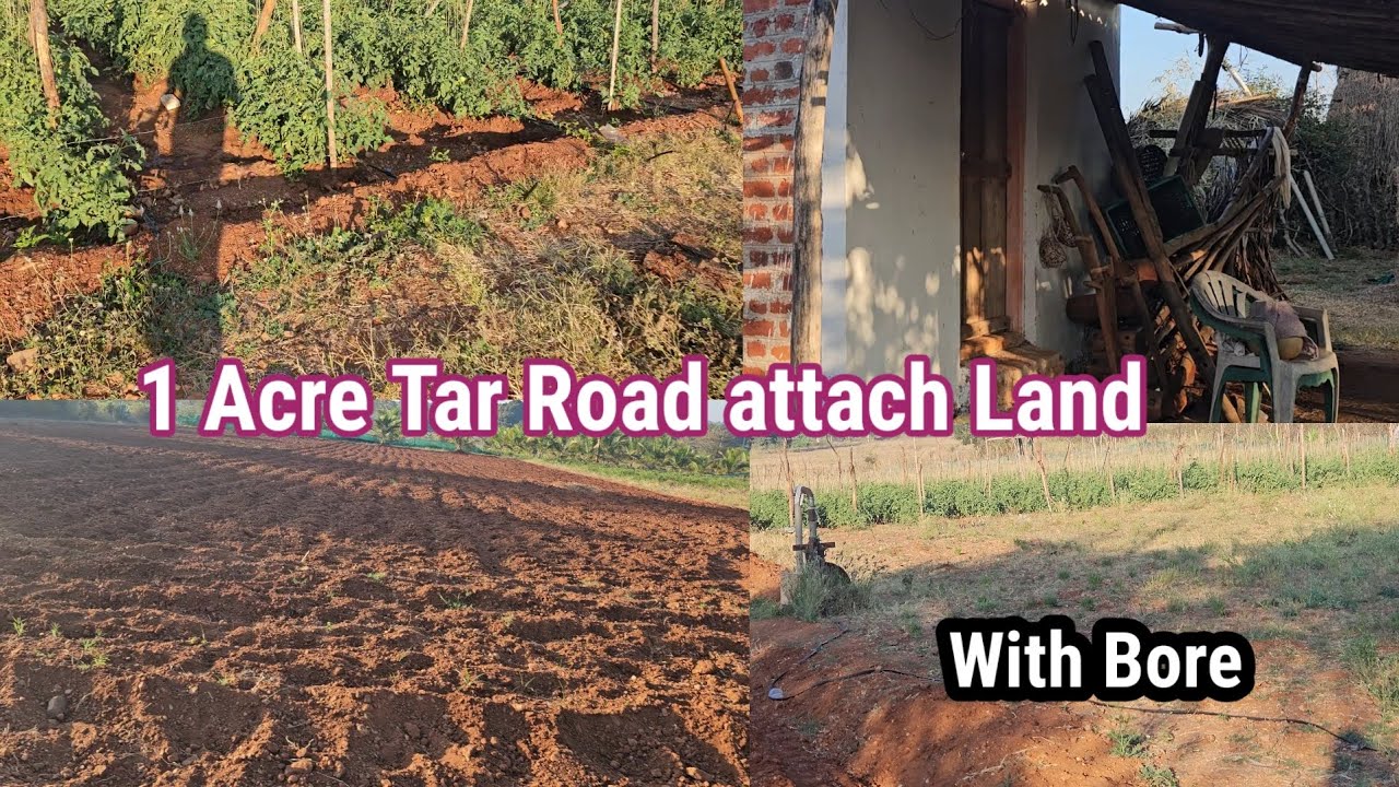 1 Acre farm land for sale with Bore Tar road attach Good location Near ...