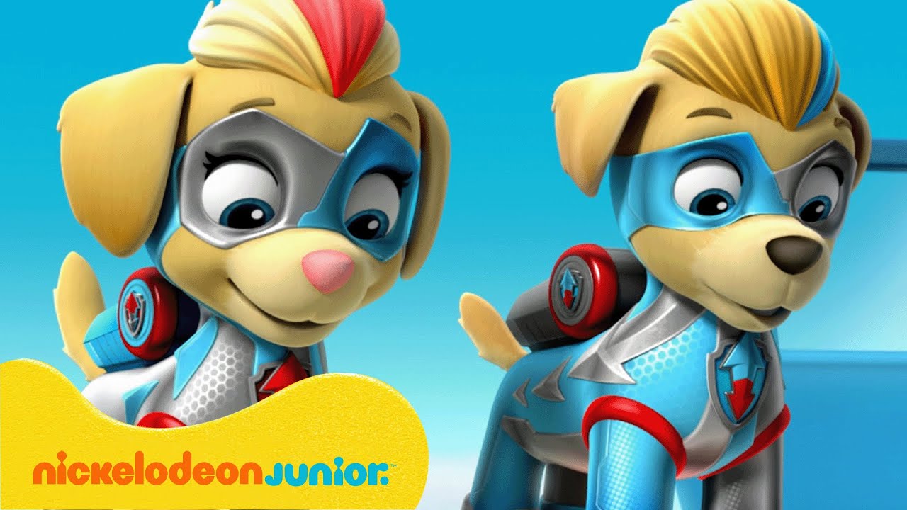 PAW Patrol : La Pat' Patrouille | Le meilleur des super jumeaux de Pat ...