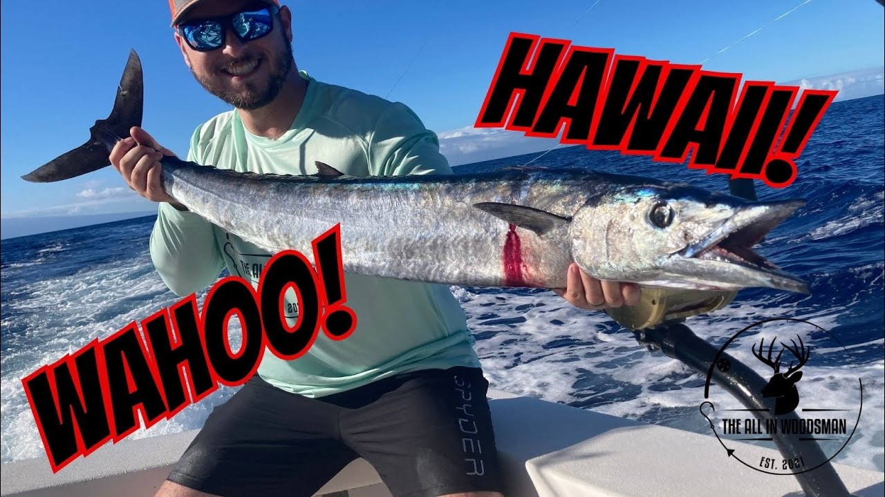 Catching Prized Deep Sea Fish in Hawaii **Catch Clean Cook WAHOO ...