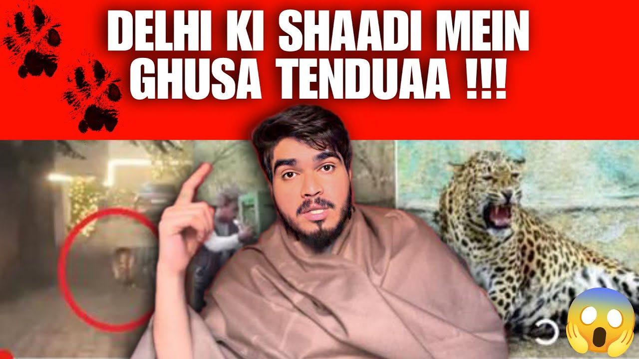 TENDUA IN DELHI SAINIK FARM😱 || दिल्ली के सैनिक फ़ार्म में दिखा तेंदुआ ...