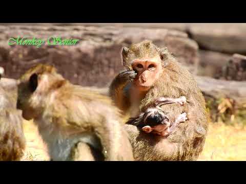 pity baby Jasper         baby jasper face very sad and weak because mommy keep him under wat