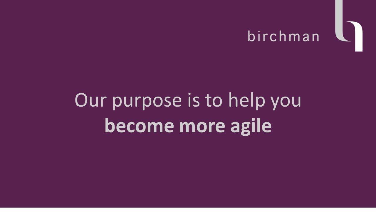 The Birchman Group - Your Digital Transformation Partner - YouTube