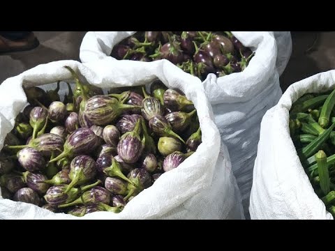 advance happy dewali 19/10/25 vegetable wholesale market mani Mandi ...