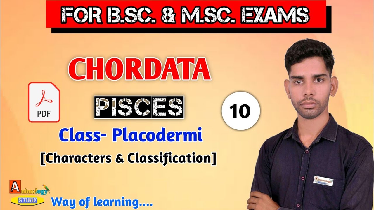 |Chordata| Superclass- Pisces| class- Placodermi | characters and ...